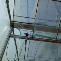 China 6 Foot 8 Foot Double Roof Arch Muliti Span Film Greenhouse Keep Warm For Tomatoes for sale