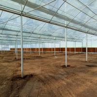 China 6 Foot 8 Foot Double Roof Arch Muliti Span Film Greenhouse Keep Warm For Tomatoes for sale