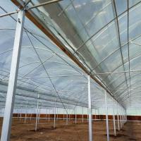 China 6 Foot 8 Foot Double Roof Arch Muliti Span Film Greenhouse Keep Warm For Tomatoes for sale