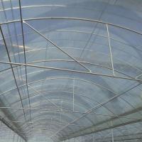 China 6 Foot 8 Foot Double Roof Arch Muliti Span Film Greenhouse Keep Warm For Tomatoes for sale