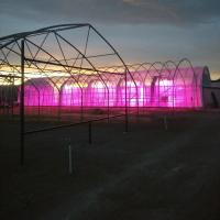 China Automatic Light Deprivation Greenhouse Blackout System Greenhouse For Medical Plants for sale