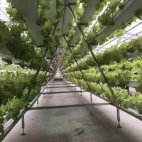 China Vertical Nft Hydroponic Growing Channel Grow System For Lettuce Salad Vegetables for sale