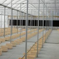 China Pp Soilless Hydroponic System Medium 30x25x23cm Beige Dutch Bucket Growing Tomatoes Cucumber Zucchini for sale