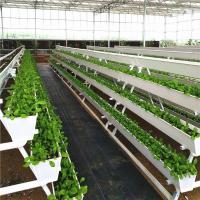 China Strawberry Hydroponic Growing System Vertical Planting Cultivation PVC Gutter Indoors For Home for sale