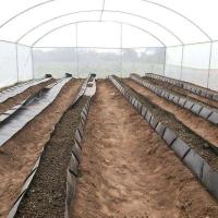 China Soilless Growing System PP Growing Trough Colletcing Trough Black Growing Tomatoes Rose Cucumbers for sale