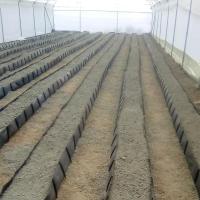 China Soilless Growing System PP Growing Trough Colletcing Trough Black Growing Tomatoes Rose Cucumbers for sale