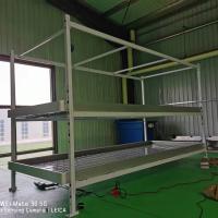 China Vegetable Outdoor Indoor Plant Growing Rack 1.22x2.44m Ebb Flood Fixed Table Growing Rack For Medical Plants for sale