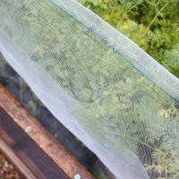 China HDPE UV Plastic Greenhouse Cover Material 40/50/60mesh Resistance Greenhouse Insect Net For Vegetable for sale