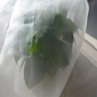 China HDPE UV Plastic Greenhouse Cover Material 40/50/60mesh Resistance Greenhouse Insect Net For Vegetable for sale