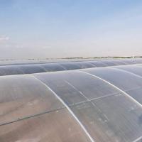 China 8mm 10mm Commercial Polycarbonate Greenhouse With Shading System Irrigation System for sale