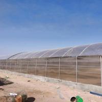 China 8mm 10mm Commercial Polycarbonate Greenhouse With Shading System Irrigation System for sale