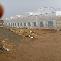 China 8mm 10mm Commercial Polycarbonate Greenhouse With Shading System Irrigation System for sale