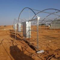 China 10 X 6 10 X 20 10 X 12  10' X 10 Clear Polycarbonate Greenhouse Wave Sheet Yellow Film Growing Lettuce Leaf Vegetable for sale