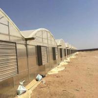 China 10 X 6 10 X 20 10 X 12  10' X 10 Clear Polycarbonate Greenhouse Wave Sheet Yellow Film Growing Lettuce Leaf Vegetable for sale