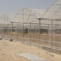 China 10 X 6 10 X 20 10 X 12  10' X 10 Clear Polycarbonate Greenhouse Wave Sheet Yellow Film Growing Lettuce Leaf Vegetable for sale