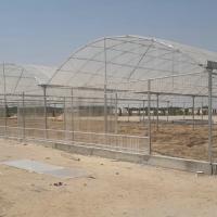 China 10 X 6 10 X 20 10 X 12  10' X 10 Clear Polycarbonate Greenhouse Wave Sheet Yellow Film Growing Lettuce Leaf Vegetable for sale