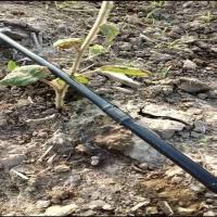 China 30cm 40cm 50cm Spacing PE Drip Pipe Irrigation For Vegetable Fruits Flower Fertigation Irrigation System for sale