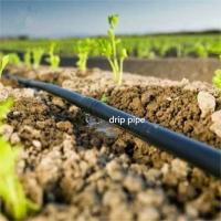 China 30cm 40cm 50cm Spacing PE Drip Pipe Irrigation For Vegetable Fruits Flower Fertigation Irrigation System for sale