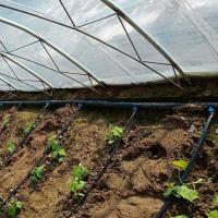 China 30cm 40cm 50cm Spacing PE Drip Pipe Irrigation For Vegetable Fruits Flower Fertigation Irrigation System for sale