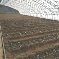 China Diameter 16mm PE Drip Tape  Drip Irrigation For Greenhouse Farm Irrigation Fertigation System for sale
