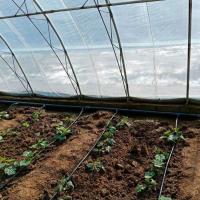 China Diameter 16mm PE Drip Tape  Drip Irrigation For Greenhouse Farm Irrigation Fertigation System for sale