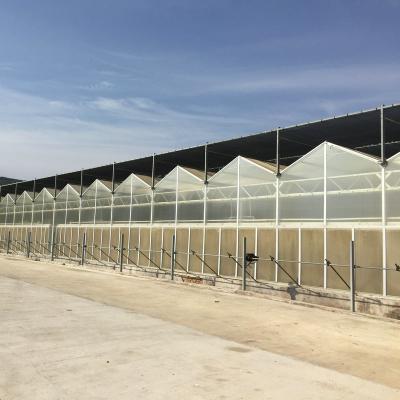 China 5x4 4x6 4x4 4x2  Polycarbonate Greenhouse Commercial With Tomato Growing System Large Hydroponic for sale