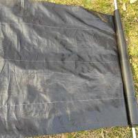 China Black Grass Barrier Landscape Ground Fabric Ground Cover Mesh Weed Mat Anti Grass Control Cloth for sale