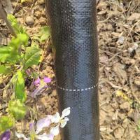 China Black Grass Barrier Landscape Ground Fabric Ground Cover Mesh Weed Mat Anti Grass Control Cloth for sale