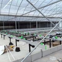 China Growing System Rolling Greenhouse Tables Adjustable Shuttle Bench System Agriculture Movable Bench for sale