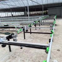 China Growing System Rolling Greenhouse Tables Adjustable Shuttle Bench System Agriculture Movable Bench for sale
