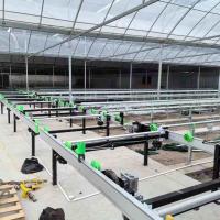 China Growing System Rolling Greenhouse Tables Adjustable Shuttle Bench System Agriculture Movable Bench for sale