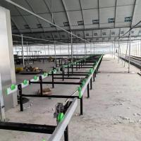 China Growing System Rolling Greenhouse Tables Adjustable Shuttle Bench System Agriculture Movable Bench for sale