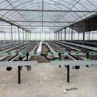 China Growing System Rolling Greenhouse Tables Adjustable Shuttle Bench System Agriculture Movable Bench for sale
