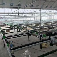 China Growing System Rolling Greenhouse Tables Adjustable Shuttle Bench System Agriculture Movable Bench for sale