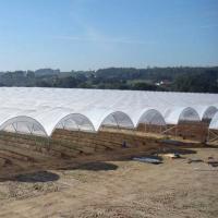 China New Design Multi Span Film Plastic Tunnel Agricultural Greenhouse Growing Different Types Berries Strawberry Blueberry for sale