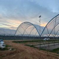 China Good Quality Poly Tunnel Green House Low Cost Hot Sale Polytunnel Berry Greenhouse for sale