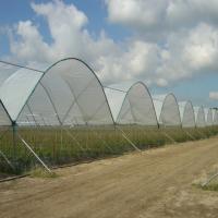 China New Design Multi Span Film Plastic Tunnel Agricultural Greenhouse Growing Different Types Berries Strawberry Blueberry for sale