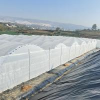 China New Design Multi Span Film Plastic Tunnel Agricultural Greenhouse Growing Different Types Berries Strawberry Blueberry for sale