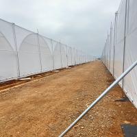 China New Design Multi Span Film Plastic Tunnel Agricultural Greenhouse Growing Different Types Berries Strawberry Blueberry for sale