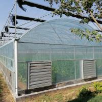 China 8m 9m 10m Span Multi Span Tomato Hydroponic Plastic Film Greenhouse Galvanized Steel Structure for sale