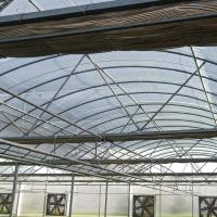 China 8m 9m 10m Span Multi Span Tomato Hydroponic Plastic Film Greenhouse Galvanized Steel Structure for sale