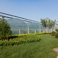 China 8m 9m 10m Span Multi Span Tomato Hydroponic Plastic Film Greenhouse Galvanized Steel Structure for sale