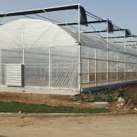 China Multi Span Film Greenhouse Structure Commercial Frames Large Plants Growing for sale