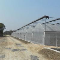 China Structure Galvanized Steel Low Cost Green House Multi Span Agricultural Greenhouses For Vegetable Tomato Growing for sale