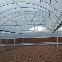China Multi Span Film Greenhouse Structure Commercial Frames Large Plants Growing for sale