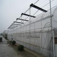 China Multi Span Film Greenhouse Structure Commercial Frames Large Plants Growing for sale