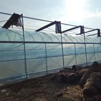 China Hydroponic Growing System Green House Multi Span Agriculture Greenhouses Growing Lettuce Cucumber for sale