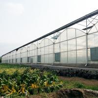 China Hydroponic Growing System Green House Multi Span Agriculture Greenhouses Growing Lettuce Cucumber for sale