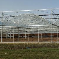 China Hot Sale Hydroponic Multi-Span film Greenhouse For Rose/Strawberry/Tomato/Cucumber for sale