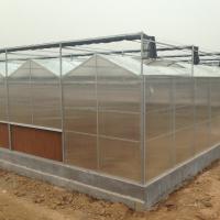 China Modern venlo hot dip galvanized steel pipe polycarbonate greenhouse structure Multi-Span Commercial pc sheet green house cooling system for sale